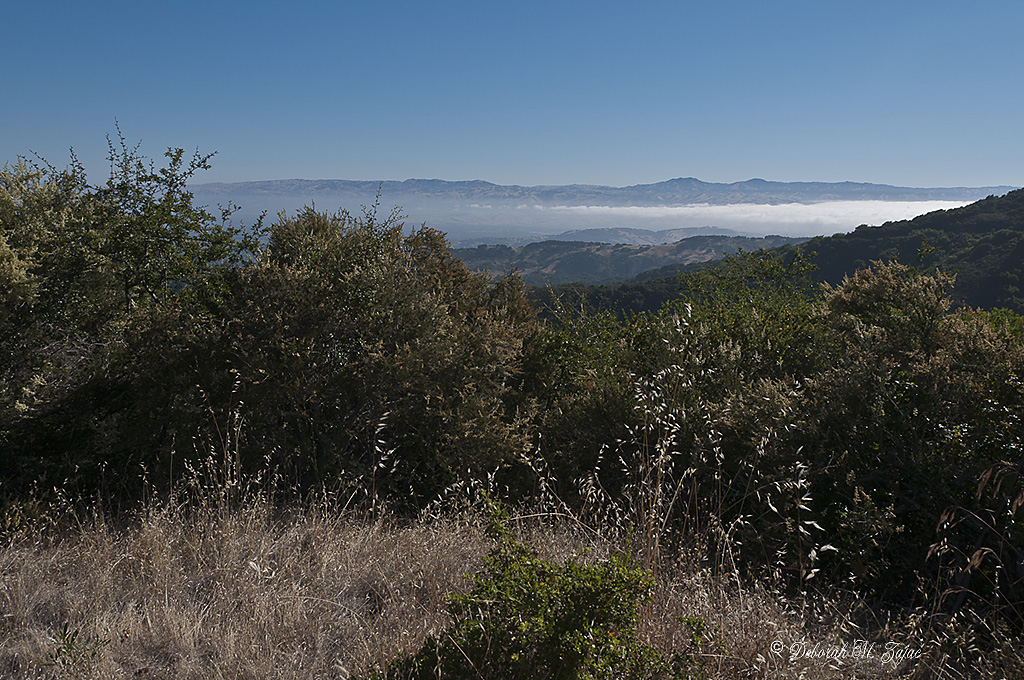 Mt. Umunhum and Bald Mountain – Circadianreflections Blog
