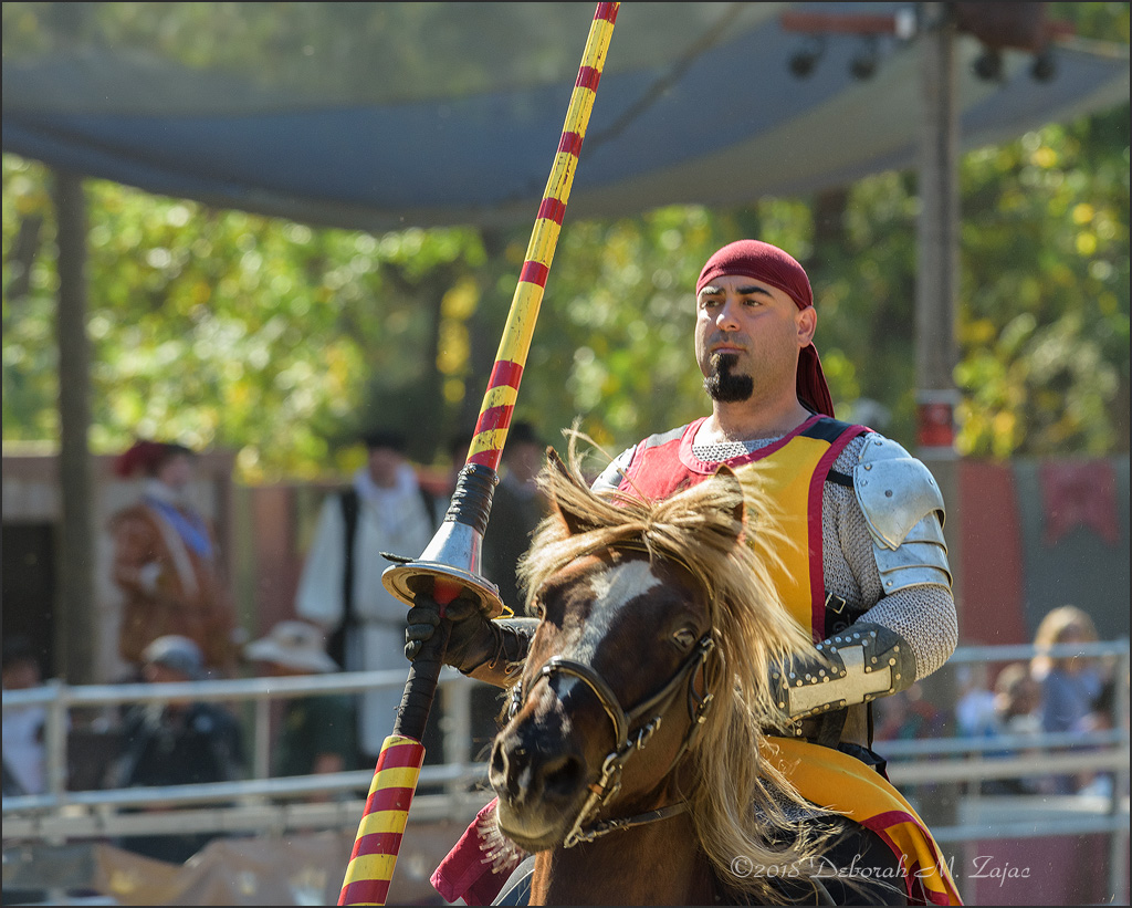 Wild Weds. 45/52 The Spanish Knight – Circadianreflections Blog