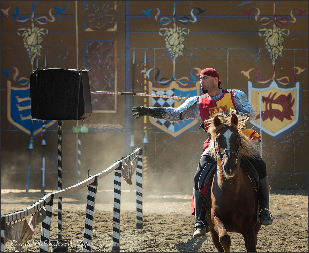 Wild Weds. 45/52 The Spanish Knight – Circadianreflections Blog