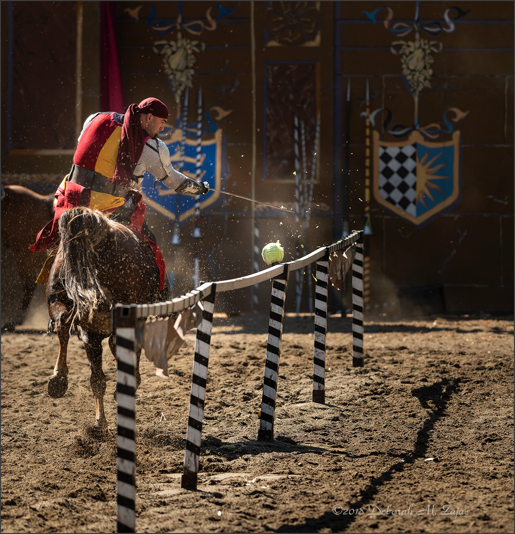 Wild Weds. 45/52 The Spanish Knight – Circadianreflections Blog