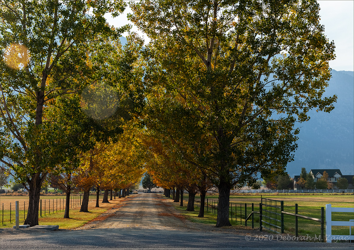 Whatever Weds. Fall Colors – Circadianreflections Blog