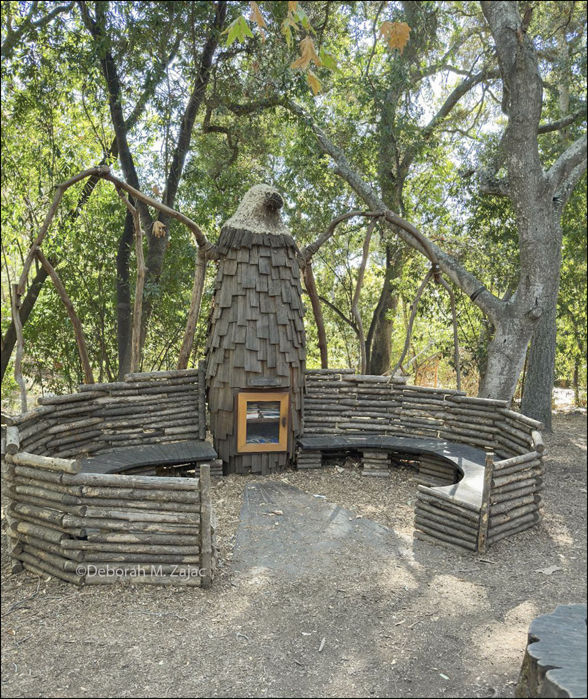 Thurs. Doors- The Eagle Little Library – Circadianreflections Blog