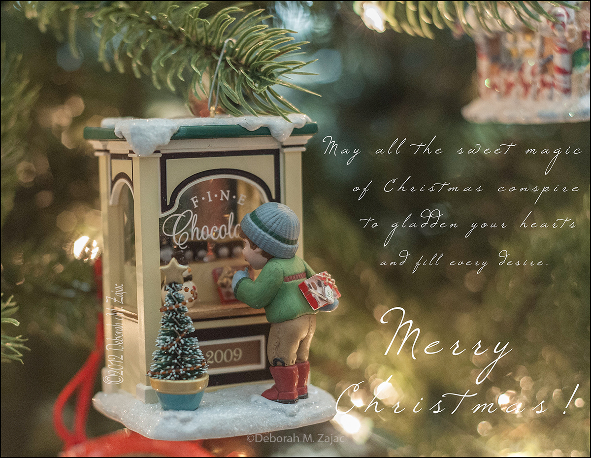 Merry Christmas! – Circadianreflections Blog