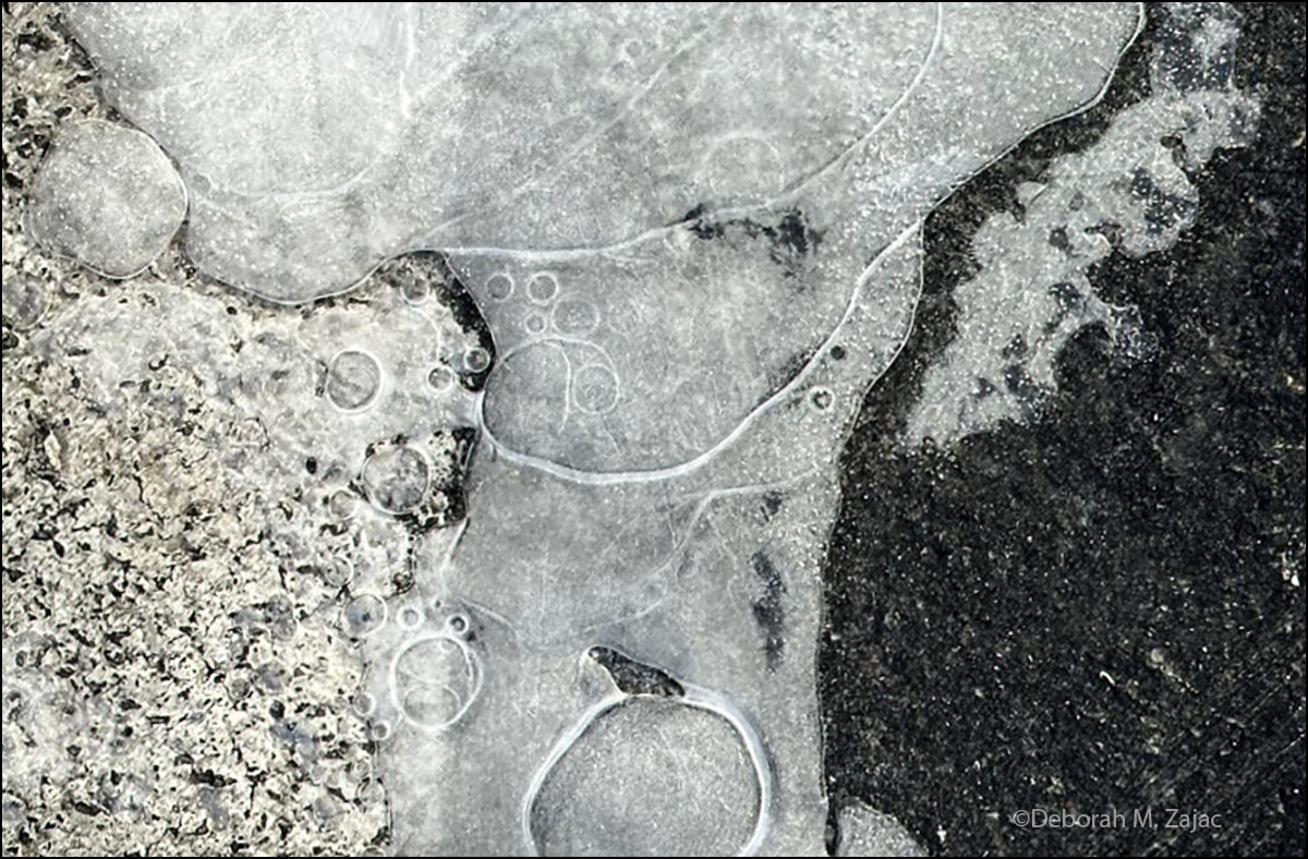 Whatever Weds. Abstract Art in Nature – Circadianreflections Blog